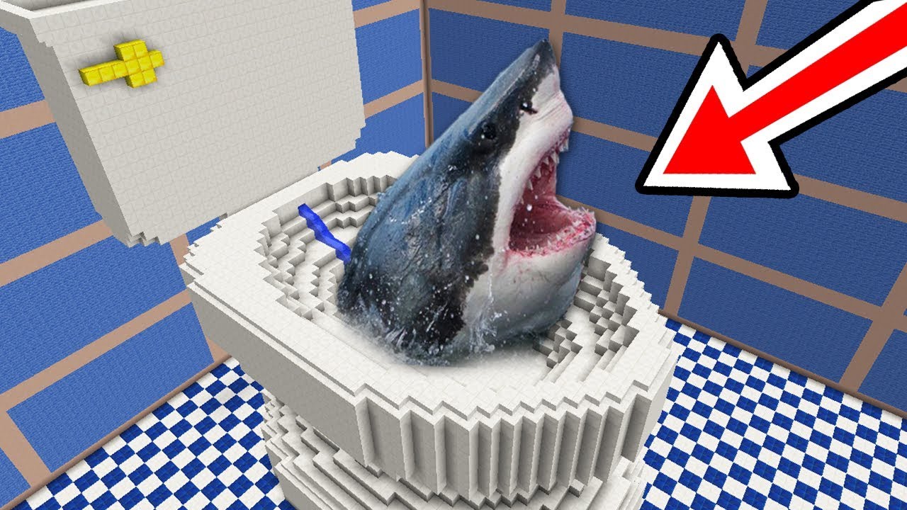 TEM UM TUBARÃO DENTRO DA PRIVADA NO MINECRAFT ! - YouTube
