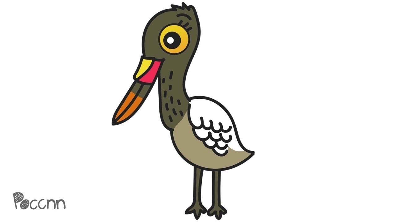 Cómo dibujar un jabirú - YouTube