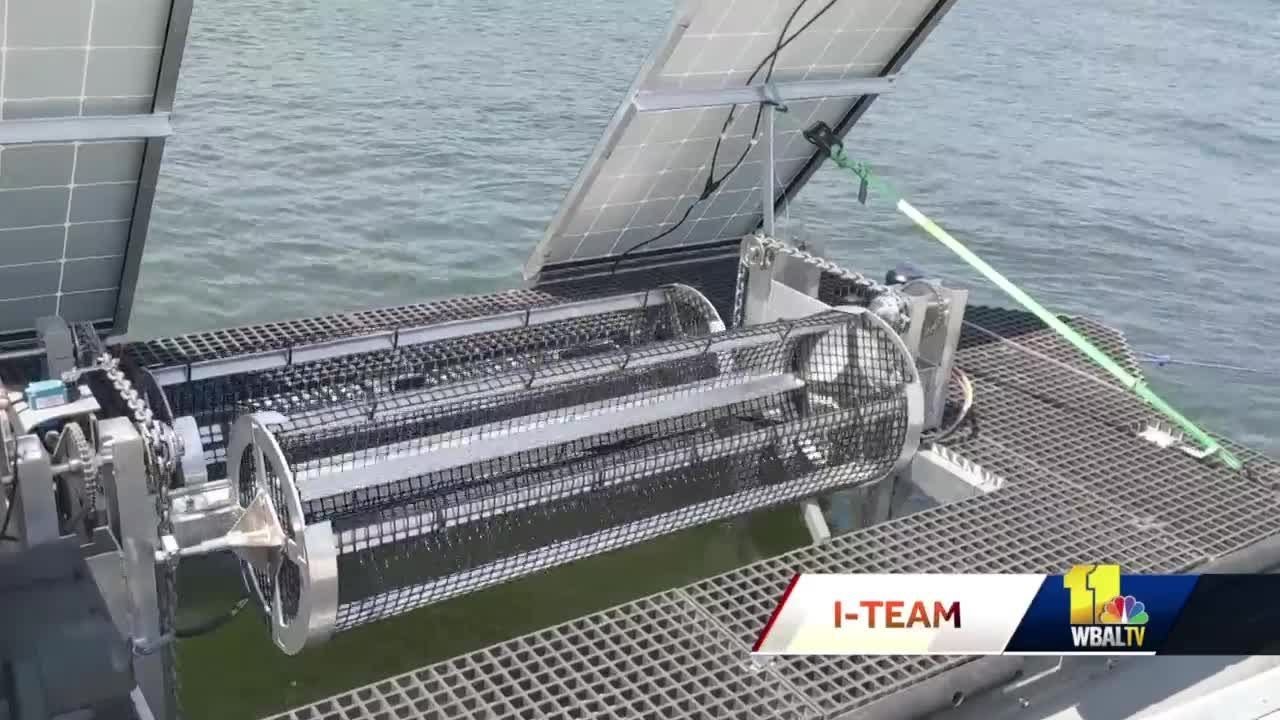 Solar Oysters creates high-tech way to farm oysters - YouTube