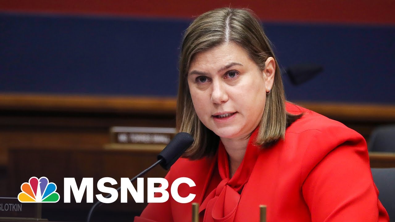 Congresswoman announces her bid for Michigan Senate seat - YouTube