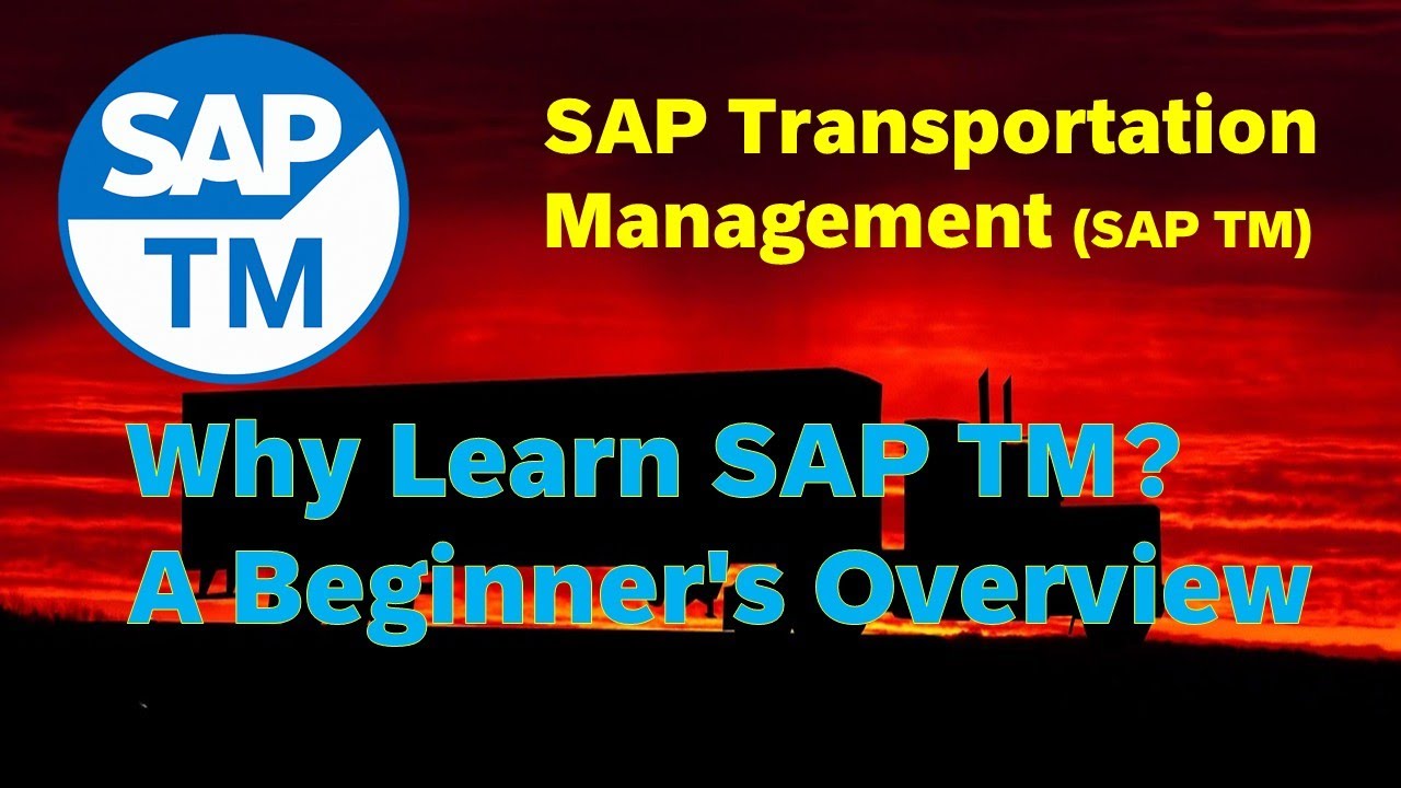 SAP TM for Beginners: A Quick & Easy Overview/Transportation Management ...