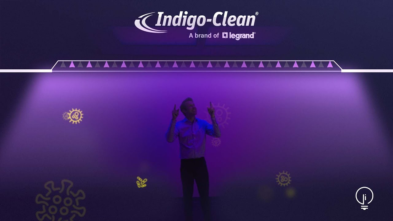 Indigo Clean: Keeping You Safe Non-Stop - YouTube