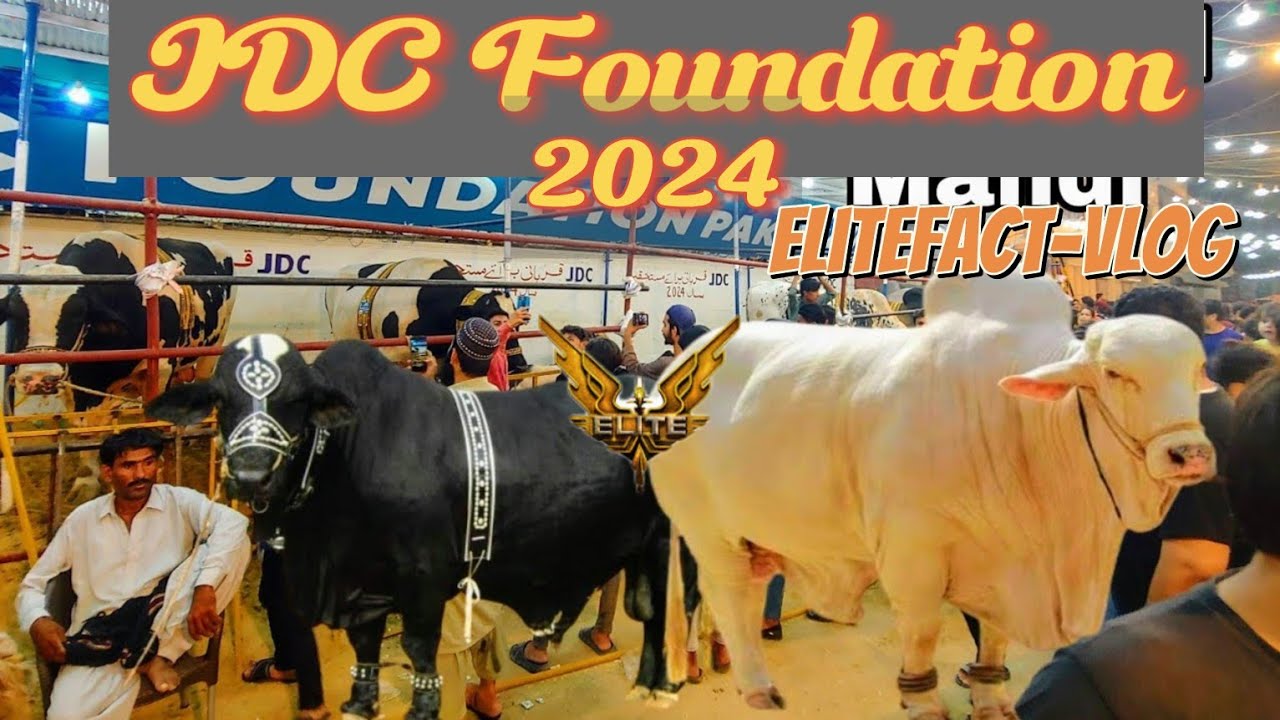 JDC Cattle Farm 2024 | JDC Foundation | Maweshi Mandi Karachi | Bakra ...
