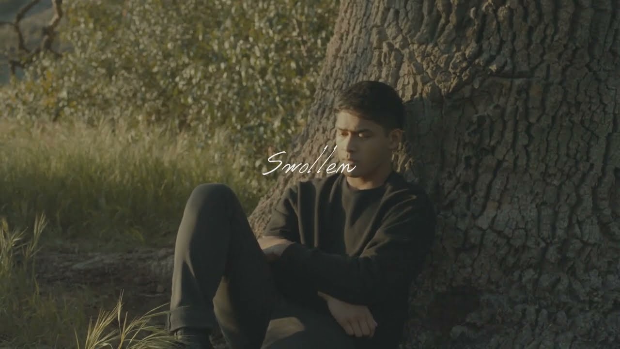 Francisco Martin - Swollen (Official Visualizer) - YouTube