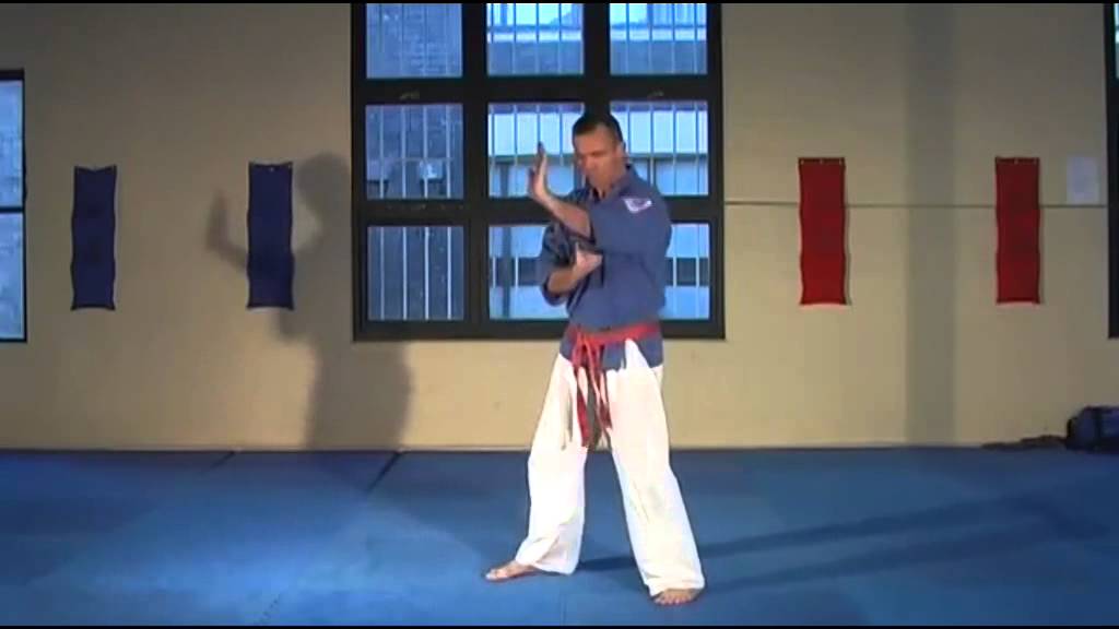 Wing Chun Instructional DVD Preview - Blocks - YouTube