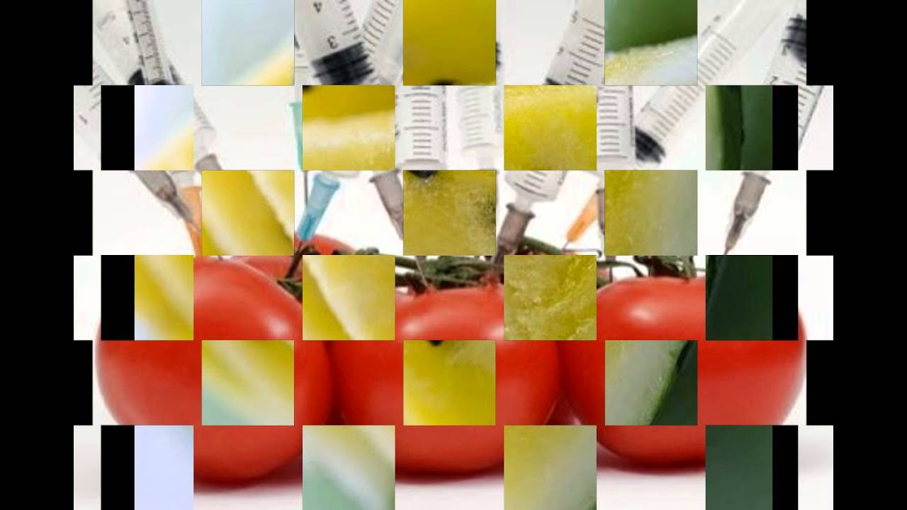Γενετικα τροποποιημενα προιοντα!!!!! - YouTube