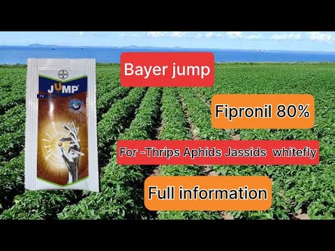 Bayer jump insecticide (fipronil 80%wg) full information (technical ...
