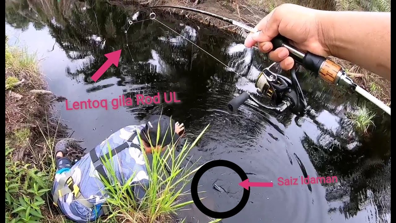 LENTURAN yang gila rod ultralight kena Saiz Idaman_komplot fishing ...