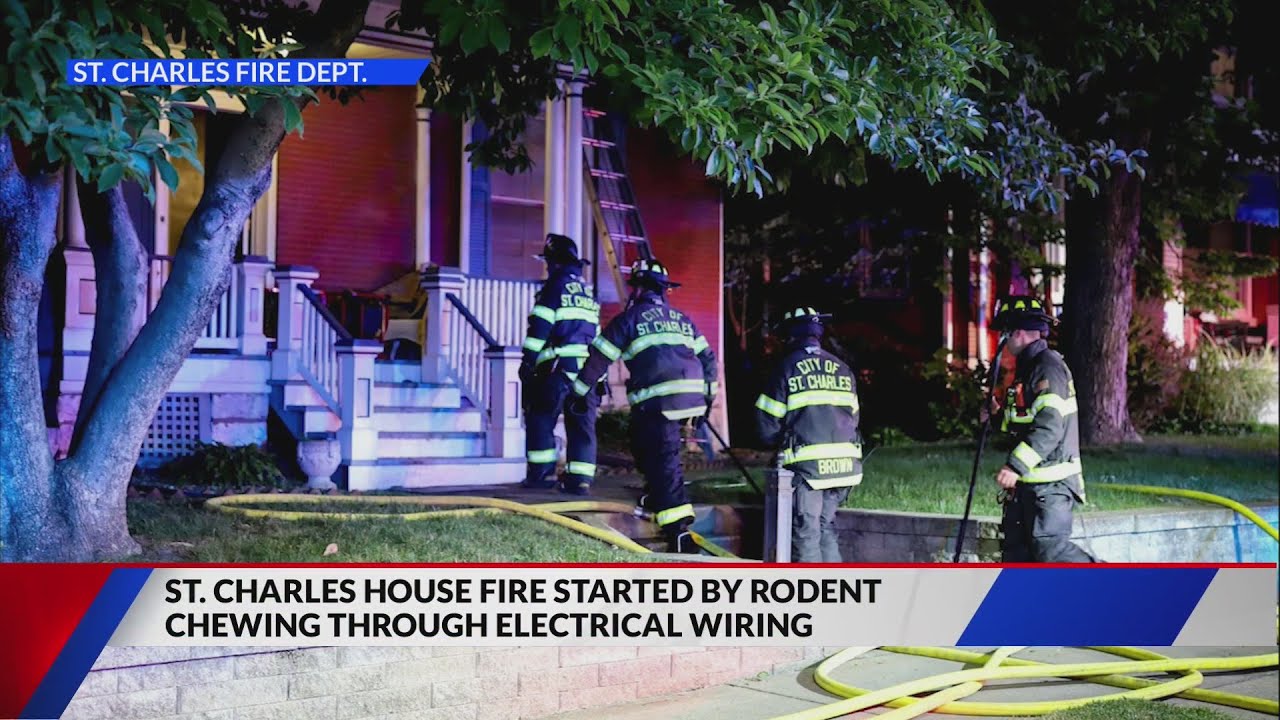 Rodent chewing on electrical wiring sparks St. Charles house fire - YouTube