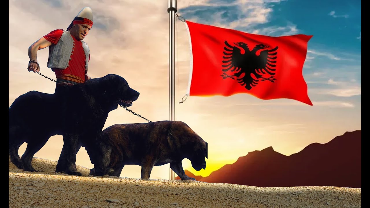 QENI I SHARRIT - KRENARIA SHQIPTARE - YouTube