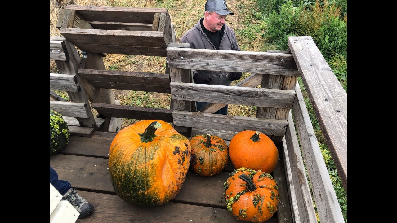 Pumpkin hunting - YouTube
