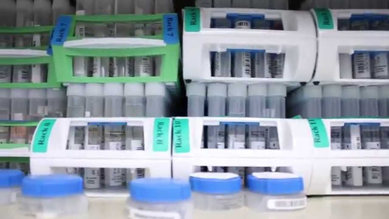 Courtagen Company Overview - YouTube