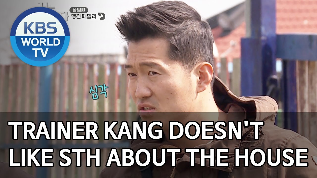 Trainer Kang doesn't like something about the house [Dogs are ...