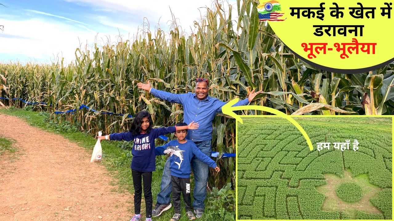 अमेरिकन किसान मकई के खेत में भूल भूलैया क्यों बनाते है Corn maze farm ...