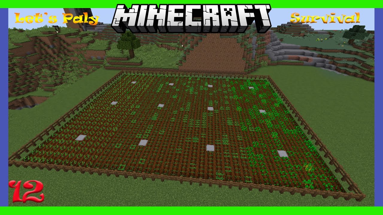 Minecraft Survival On Our Server 03 Ep .12 (Finishing Farm) - YouTube