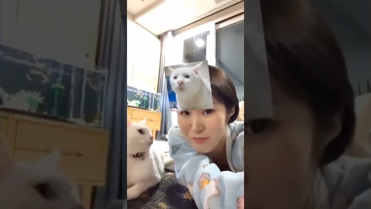 New Year Fun! Best Fails, Jokes, and Laughs - YouTube