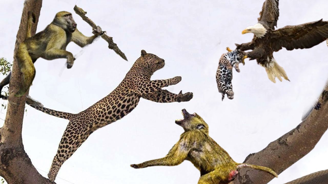 Wildest Animal Fight Ever! Leopard vs Baboons, But an Eagle Changes ...