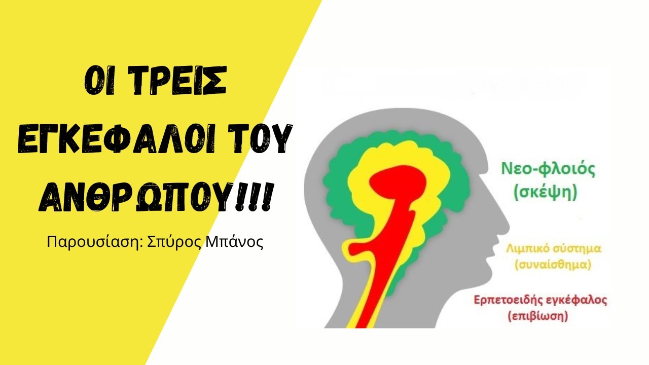Οι 3 εγκέφαλοι του Ανθρώπου!!! - YouTube