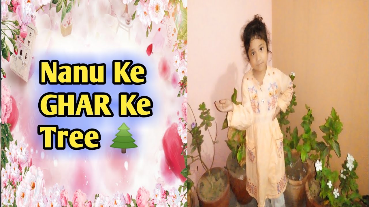 Nanu Ke GHAR 🏠 ke pyeare 🌲 Tree ll or Tasvi phari ll Samreen Kamran ...