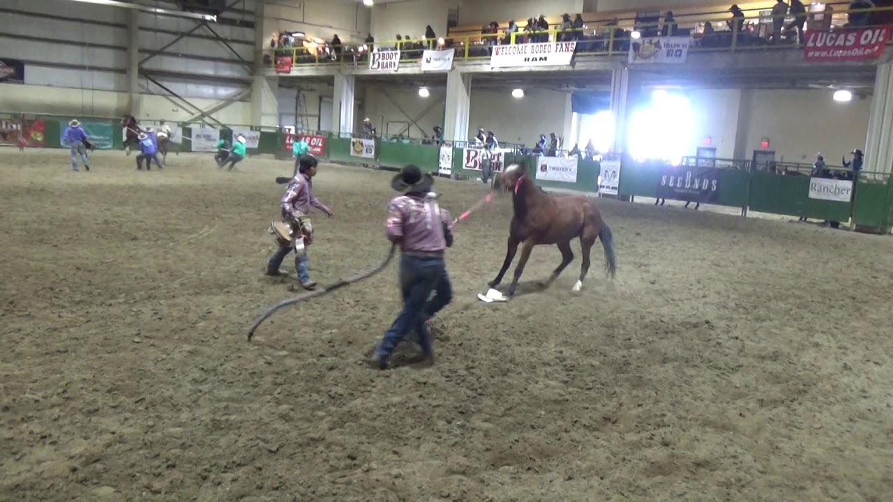 Wild Horse Race PWHRA Finals 2019 - YouTube