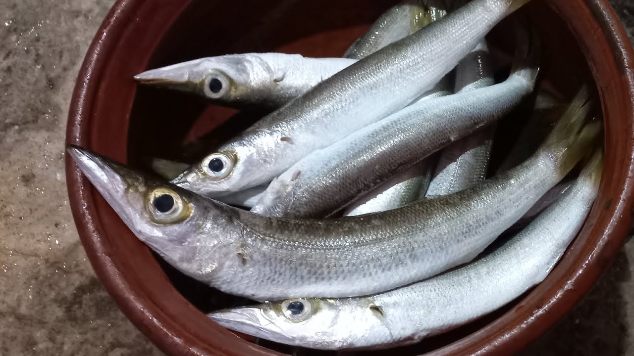 തനി നാടൻ മീൻകറി /ഫിഷ് curry/kerala style fish curry/cheelavu fish ...