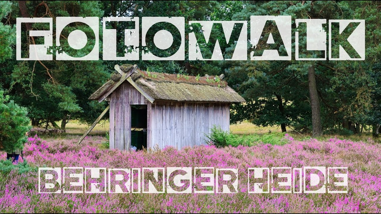 Behringer Heide Fotowalk @ThePerfectPig - YouTube