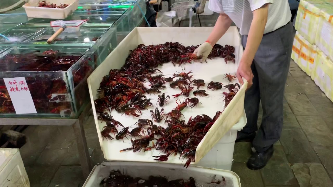 Live crawfish at Lishuiqiao seafood market in Beijing - YouTube