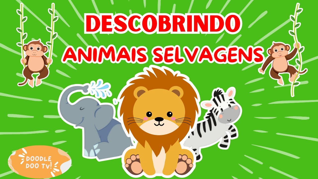 Animais SELVAGENS para crianças com imagens REAIS - YouTube