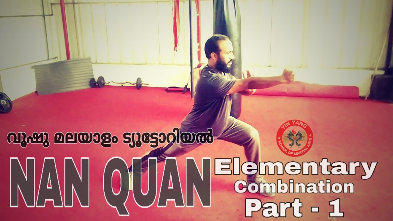 Nan Quan Elementary Combination | Part 1 | Wushu tutorial in malayalam ...