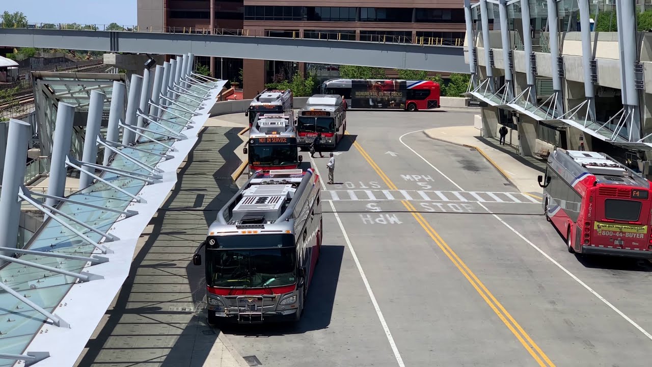 WMATA Metro & MCDOT Gillig Bus: A 2-Hour Showcase of Buses and Trains ...