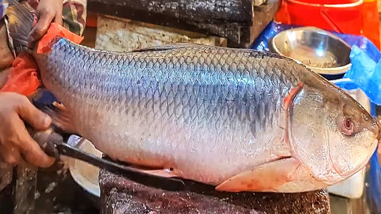 Increadible Giant Rohu Fish Cutting Skills Live In Fish Market ...
