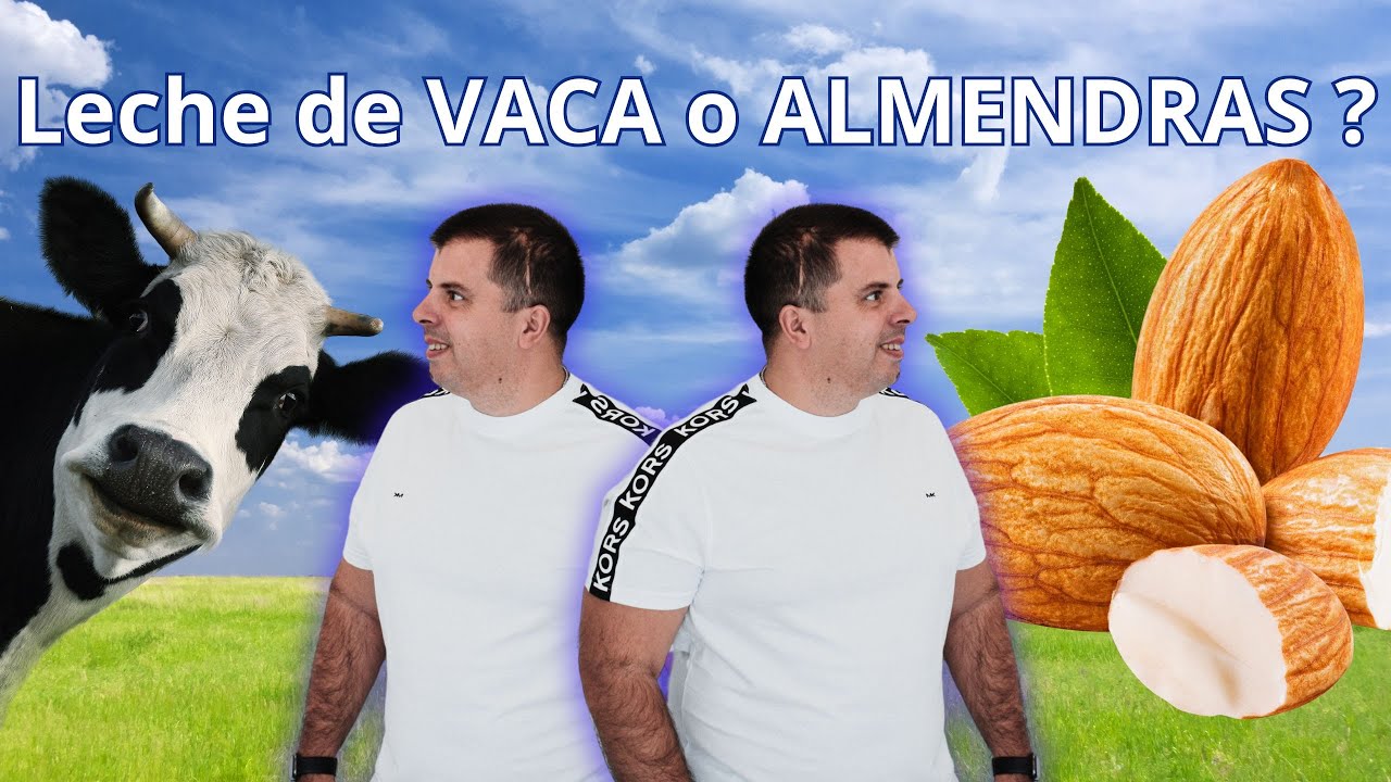 ¿Leche de vaca o de almendras? ¡Descubre cuál es mejor para ti! - YouTube