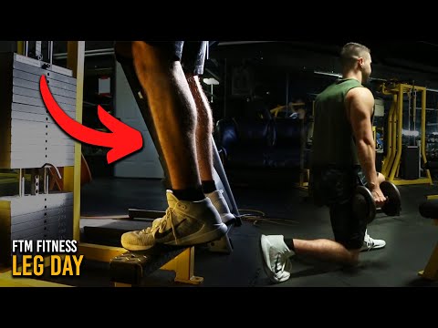 FtM Workout Plan | Day 3 - LEG DAY - YouTube