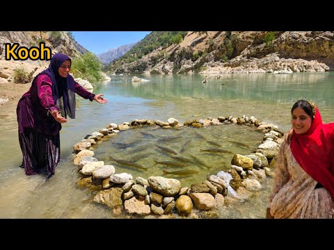 Fishing tips and professional techniques for catching fish in the Bear River