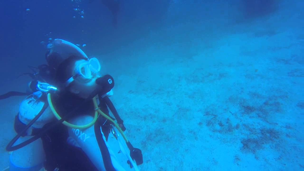 Scuba diving with seals Narooma 11/2014 - YouTube