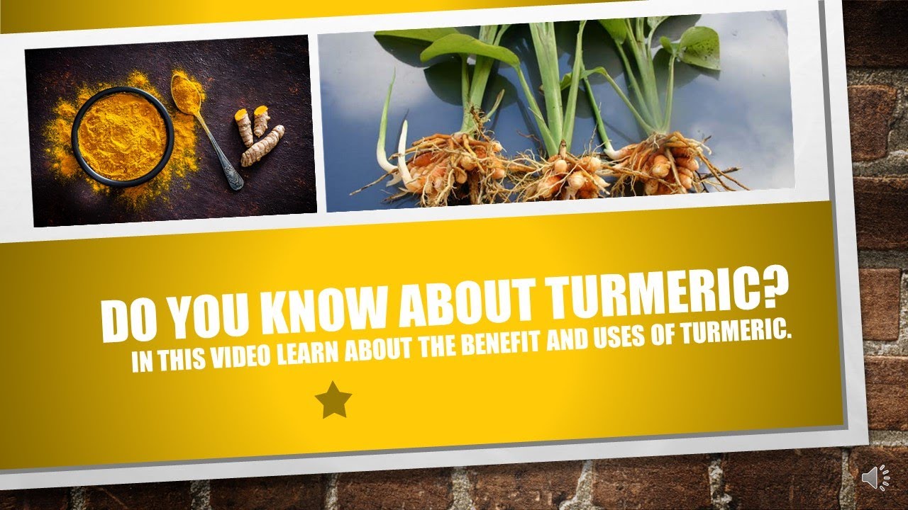Amazing facts about Turmeric: The health benefit you've never heard of ...