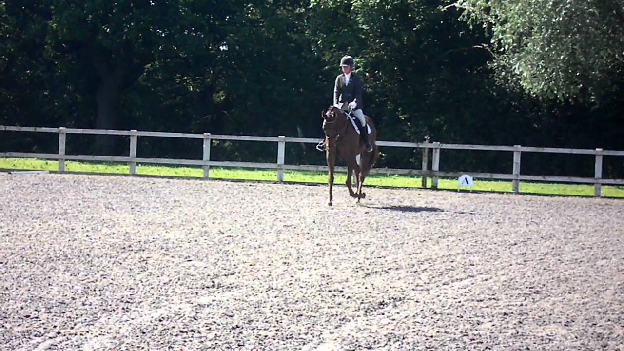 Message Minder dressage - YouTube