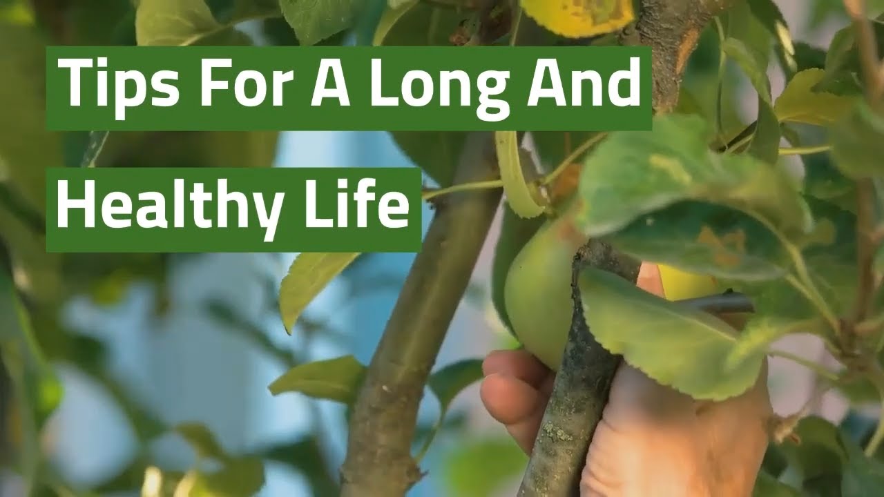 Tips For A Long And Healthy Life - YouTube
