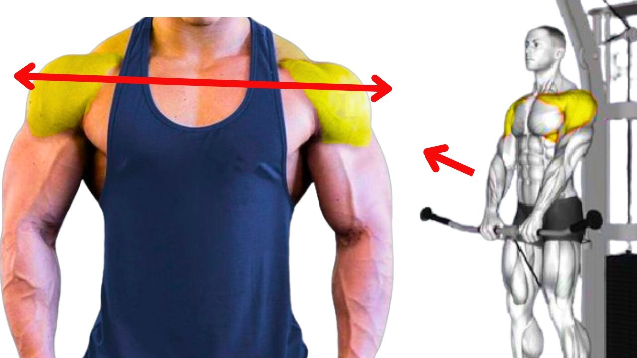 5 most important shoulder shoulder exercises at gym - YouTube