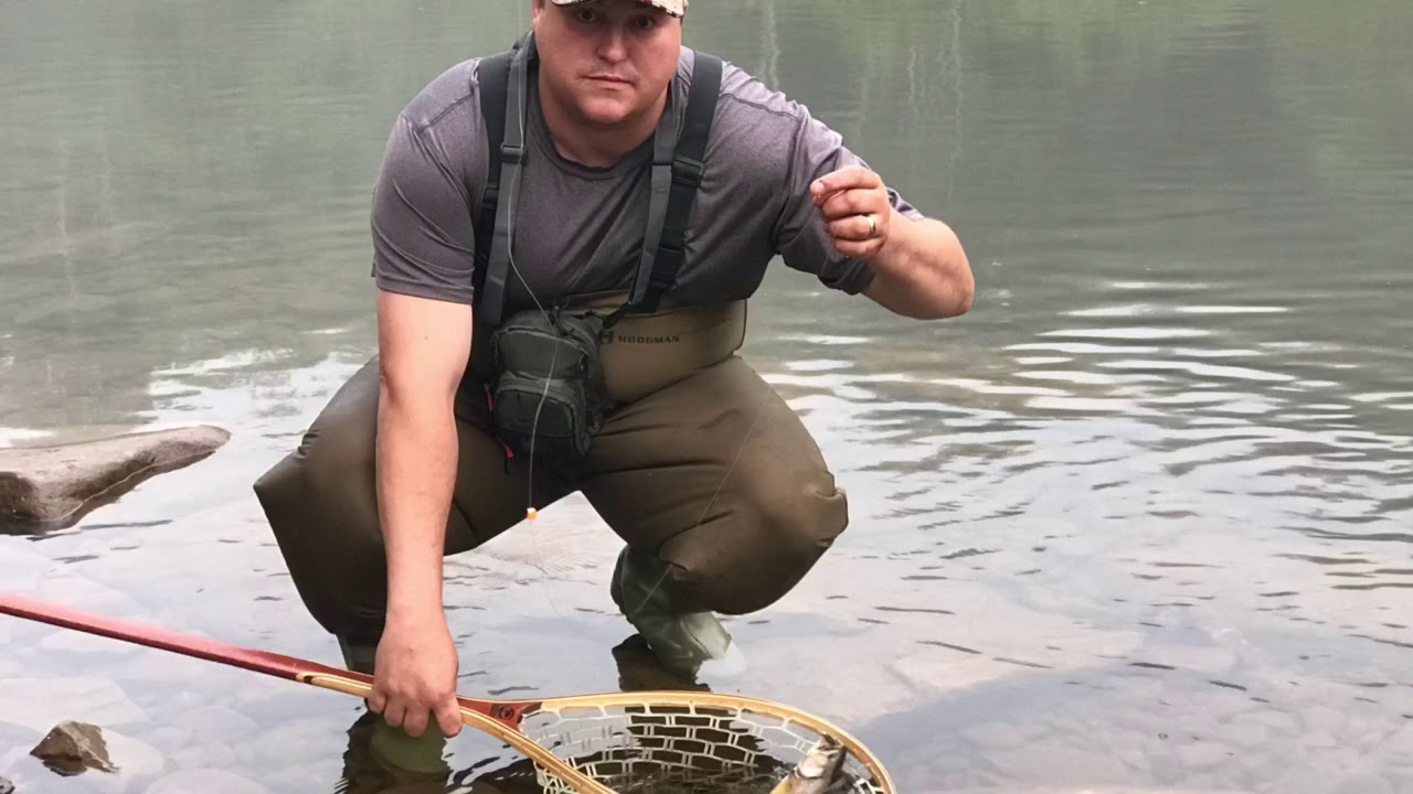 PHWWO Cheat Mountain Club 2018_1 - YouTube