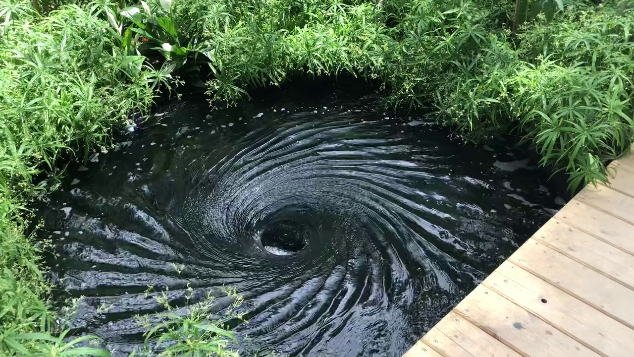 Vortex : un tourbillon aquatique - YouTube