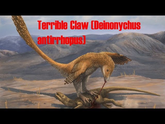 Deinonychus Sickle Claw
