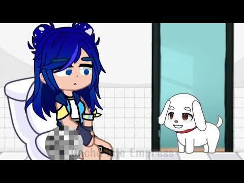 POV : You have a pet 🐾🐶🐾 Gacha Meme / Gacha Trend || Krew / ItsFunneh ...