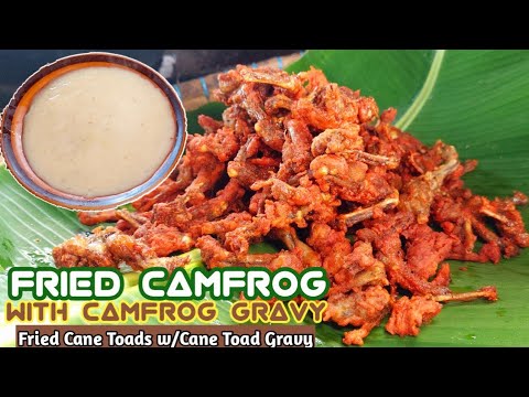 Fried Karag with Karag Gravy || Fried Cane Toad with Cane Toad Gravy ...