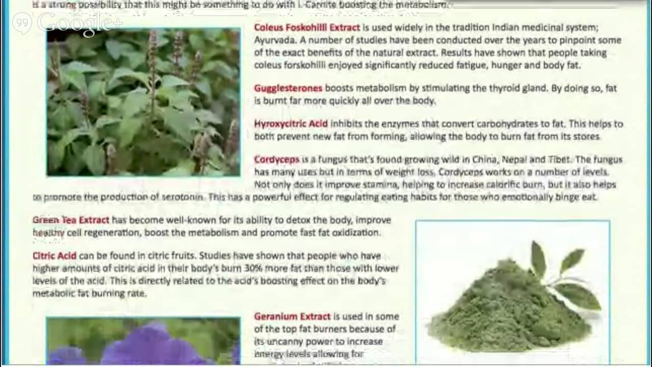 Ephedrix Rapid Weight Loss Supplement, Does Ephedrine Diet Pills Work ...