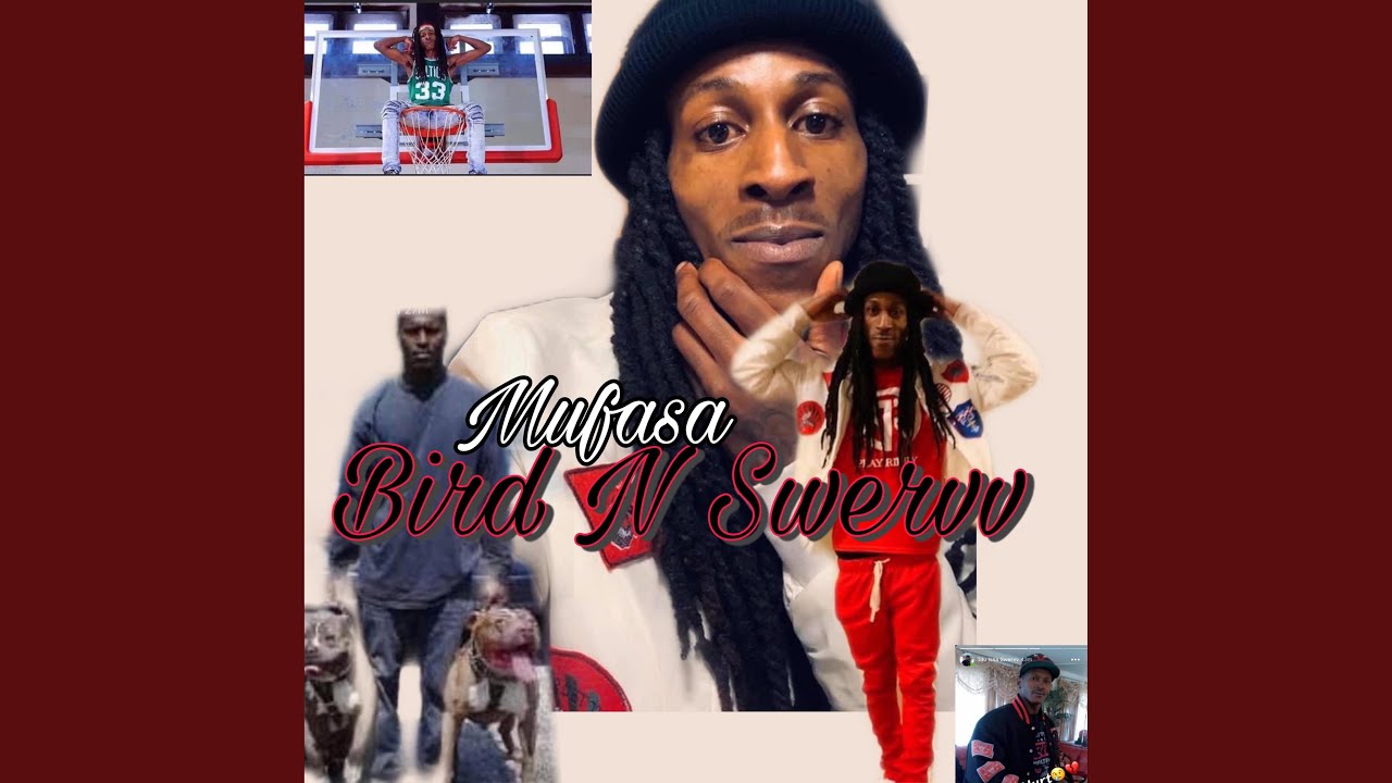 Bird N Swervv - YouTube