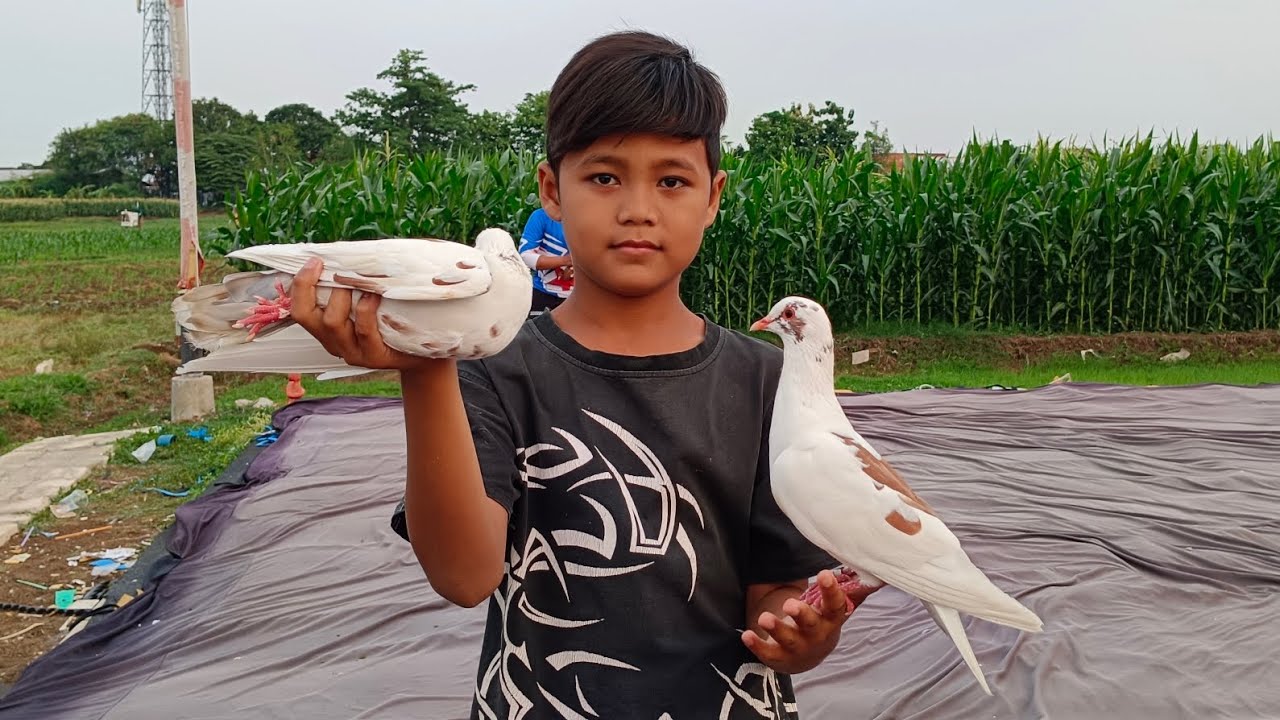 SEBELUM TEST KE LAPAK MERPATI KOLONG @ALDP_CRB - YouTube