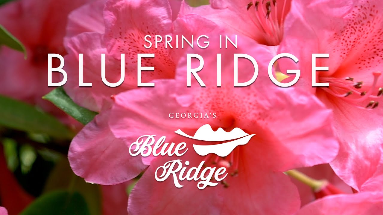 Spring In Blue Ridge, GA | Get Away Completely - YouTube