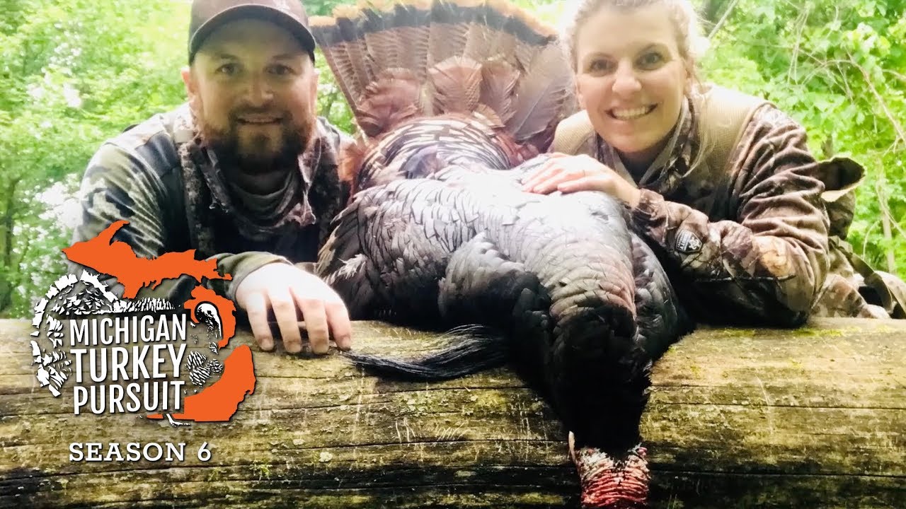 Michigan Turkey Hunting 2019 Kent Country Bird Down MTP S6 E12 - YouTube