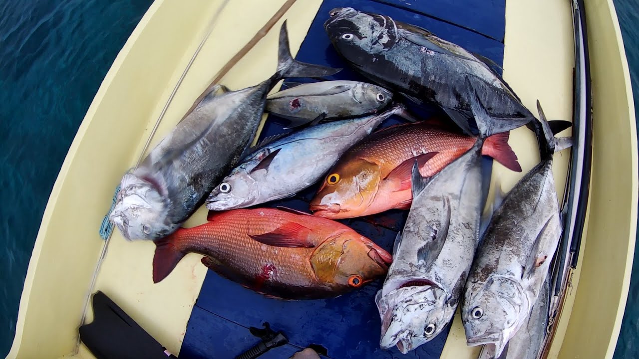 Spear fishing wakatobi bobara dan ikan merah di spot Tommia🔥🤙 - YouTube